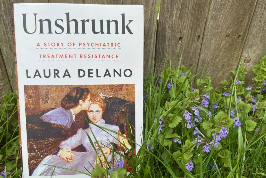 Bing’s AI Chat Transcript by Kevin Roose and Sydney - bookclique